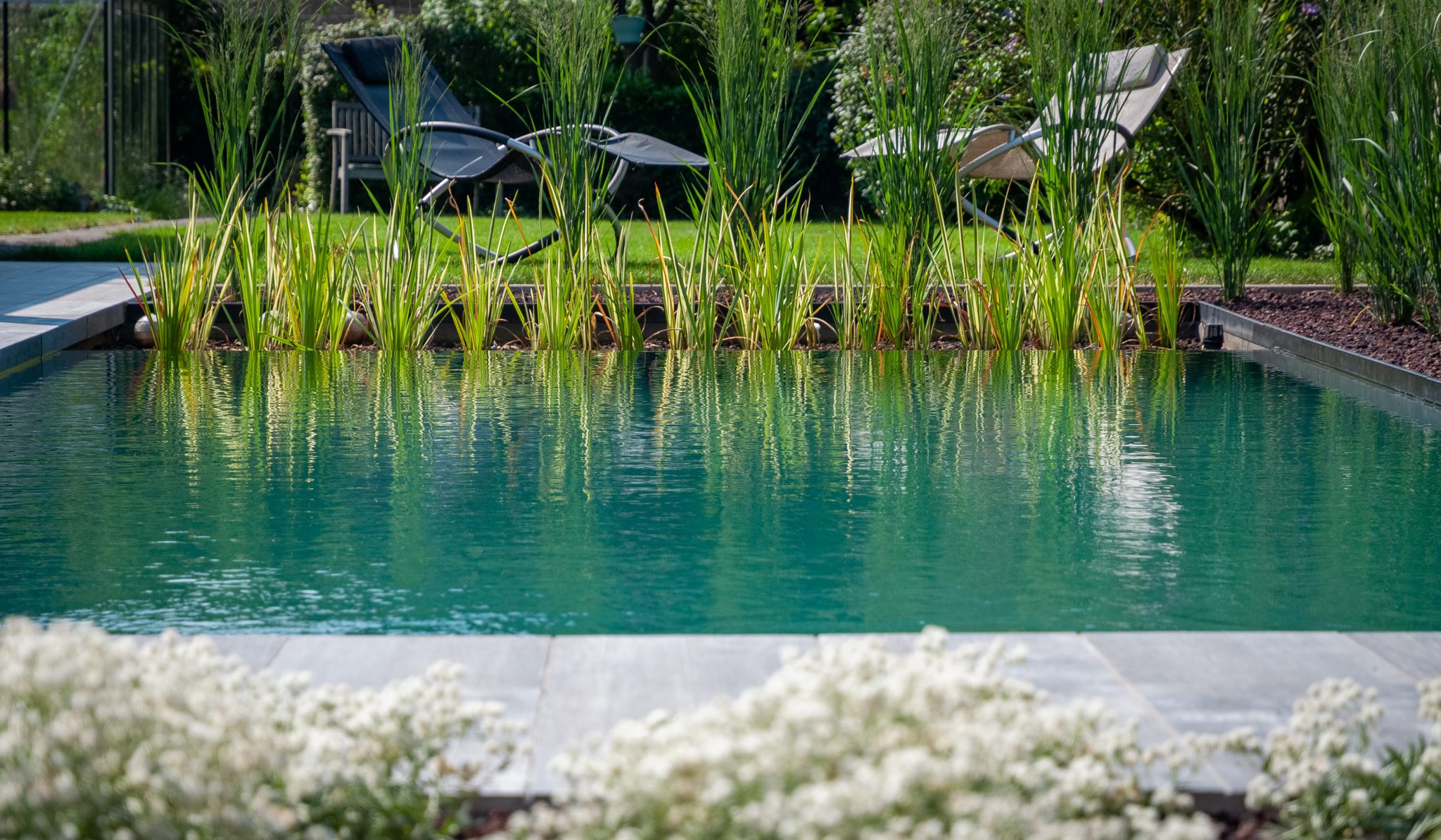 Swimming pond Crystal Clear (Biopool Type 4)