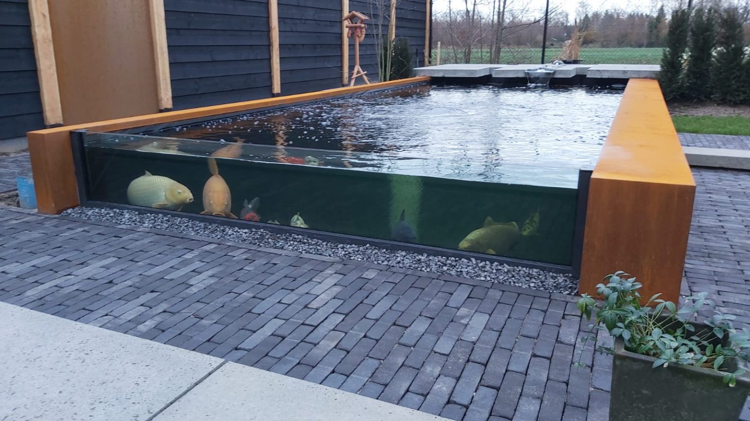 Reliable, innovative products for any type of (swimming) pond | AquaForte