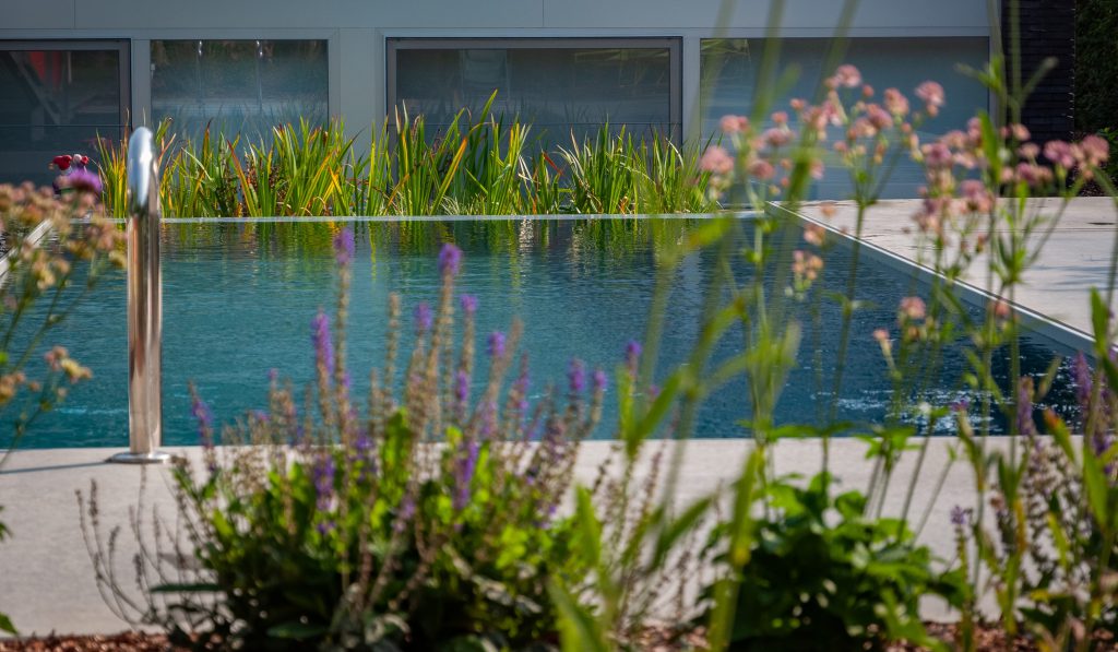 Swimming pond Crystal Clear (Biopool Type 4)