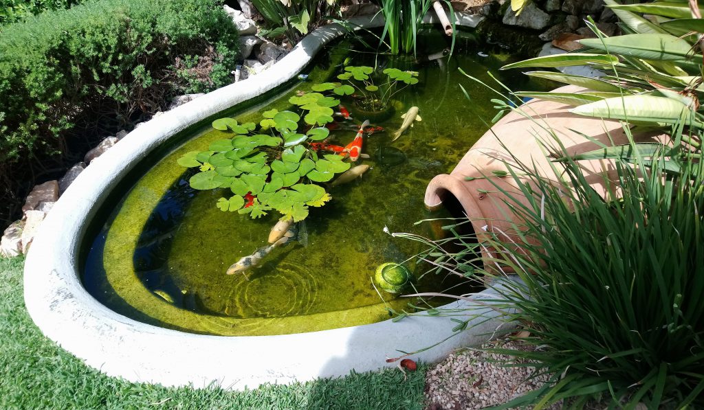 AquaForte Ornamental pond projects, get your inspiration here!